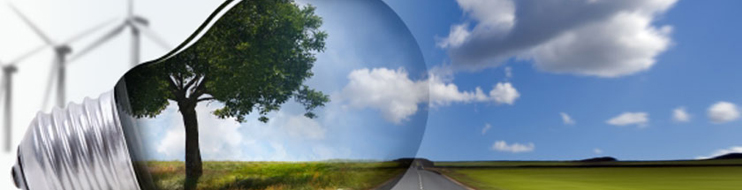 Natural Resource Resume Writing Services| Webuild Resumes