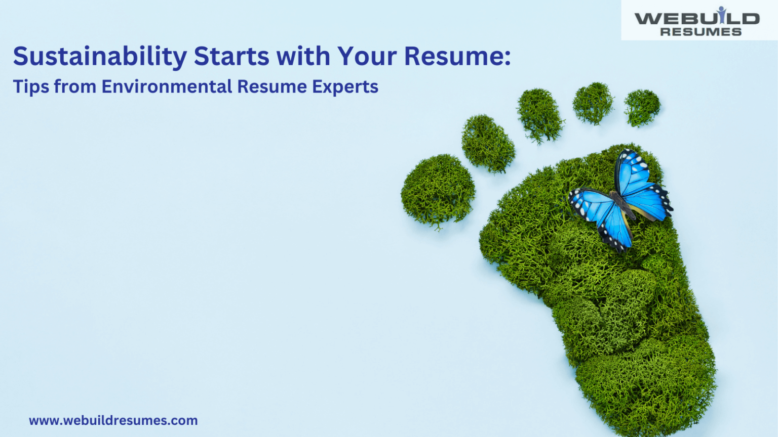 Sustainable Resumes: Tips from Environmental Resume Writers